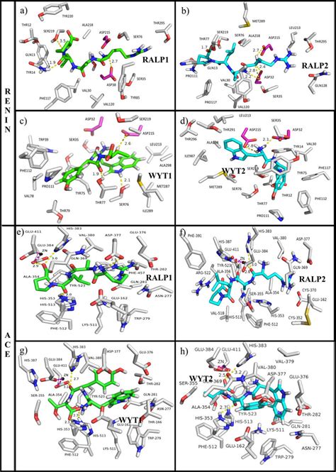 Binding Mode Of The Peptides Docked At Their Active Site Of Renin A