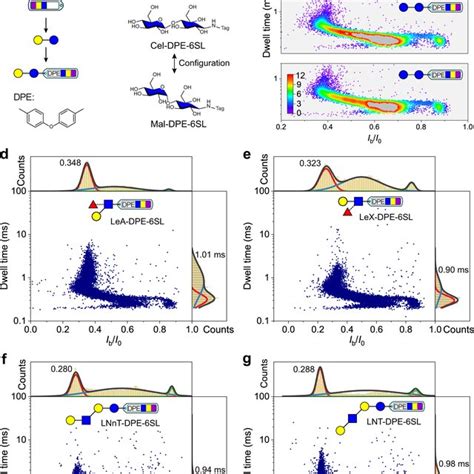 Nanopore Based Glycan Detection A Schematic Showing Derivatization Of
