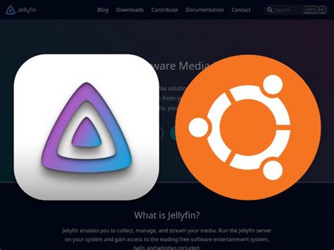 how to install jellyfin media server on ubuntu 22 04 or 20 04
