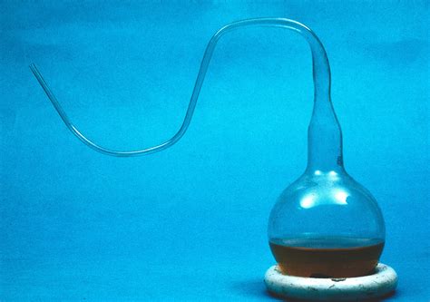 facsimiles of flasks used by pasteur in his experiments wellcome