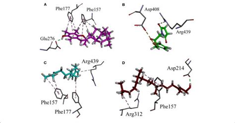 Binding Orientation And 3 D Interaction Plot Of Putative Bioactive
