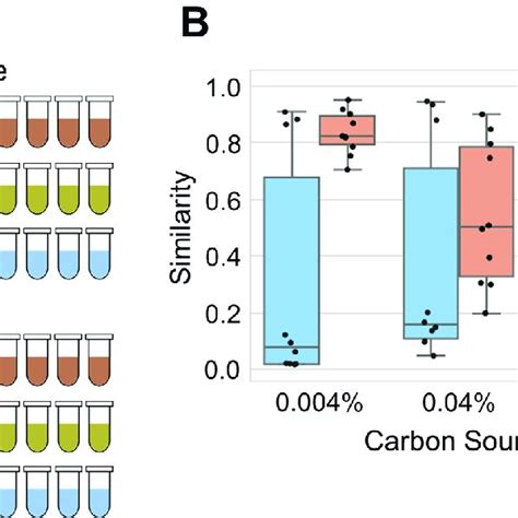 Stochasticity Of Microbial Community Assembly In A River A Microbial
