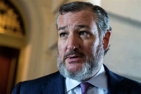 Homeland Security Chief Calls Ted Cruzs Comments Revolting