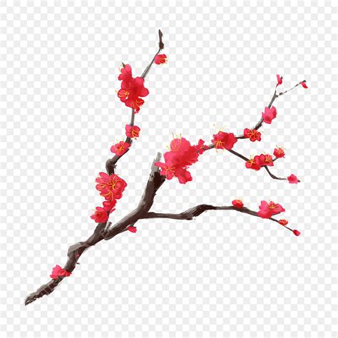 Tinta Flor De Ciruelo Estilo Chino Rojo Pintado A Mano Ramas Png Mo