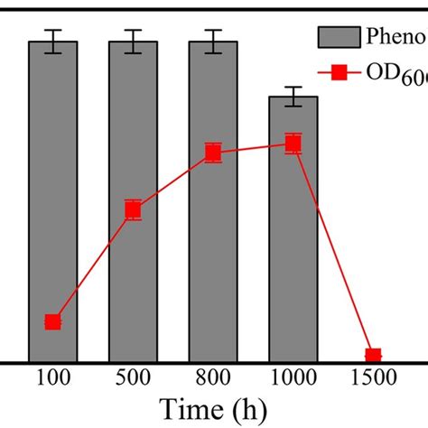 Effects Of Different Phenol Concentrations On Cellular Morphology Of