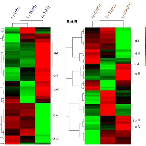 Comparative Gene Ontology Go Classifications Of Commonly Expressed