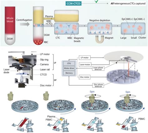 Photo Circulating Tumor Cells Ctc Separation Using Continuous