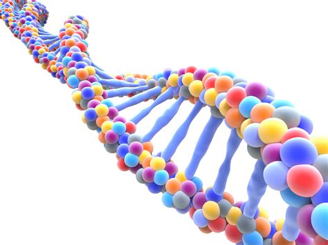 Fast And Easy Dna Quantification For Next Generation Sequencing