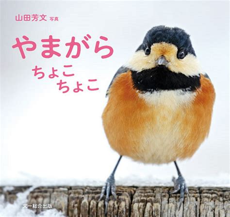 【楽天市場】文一総合出版 やまがらちょこちょこ 文一総合出版 山田芳文 価格比較 商品価格ナビ