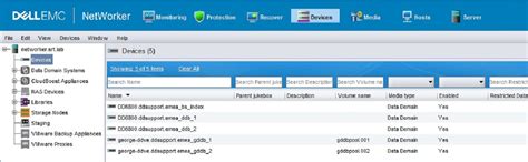 networker data domain capacity issues basic environment information