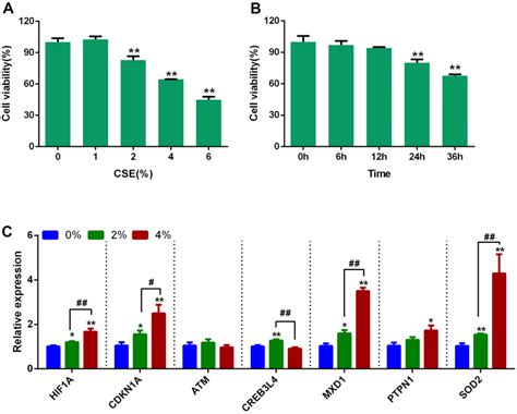 Expression Of 7 Aging And Copd Related Genes In Cse Stimulated Beas 2b