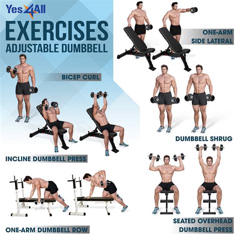 Lower Ab Exercises With Dumbbells At Barbara Guthrie Blog