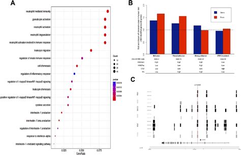 A Dot Plot Of Gene Ontology Enrichment Analysis The Diameter