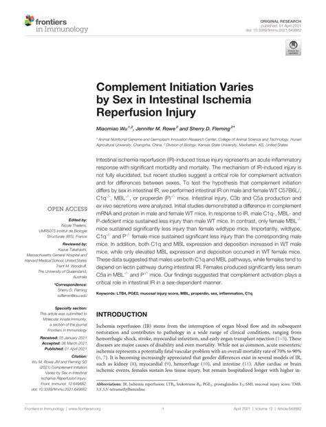 Pdf Complement Initiation Varies By Sex In Intestinal Ischemia
