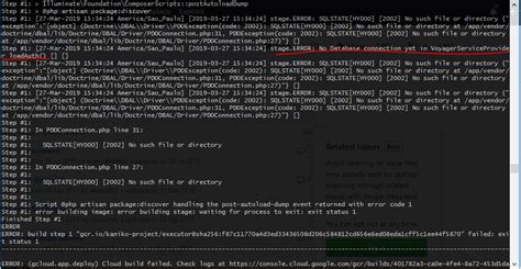 no database connection yet in voyagerserviceprovider
