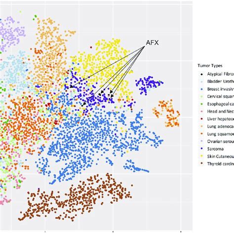 Afx Gene Expression Clusters With Other Sarcomas T Sne Plot Of 8 Afx