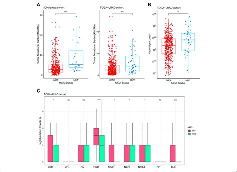 Association Of Mga Mutation With Tumor Mutational Burden Neoantigen