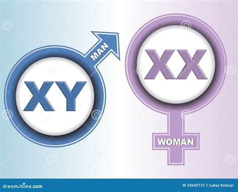 Sex Chromosome Signs Stock Illustration Illustration Of Bathroom