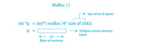 dynamic memory allocation in c malloc calloc realloc and free