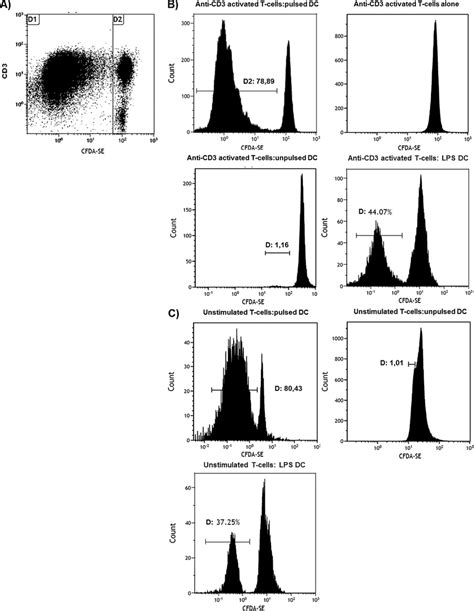 Cfse Assay For Assessment Of T Cell Function The 7 Day Response Of