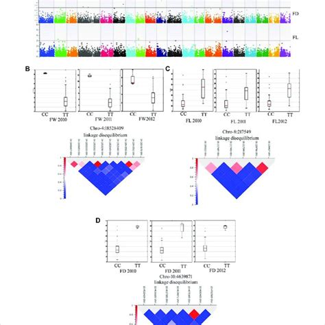 A Manhattan Plots Showing Gwas Results For Various Fruit Traits [fw