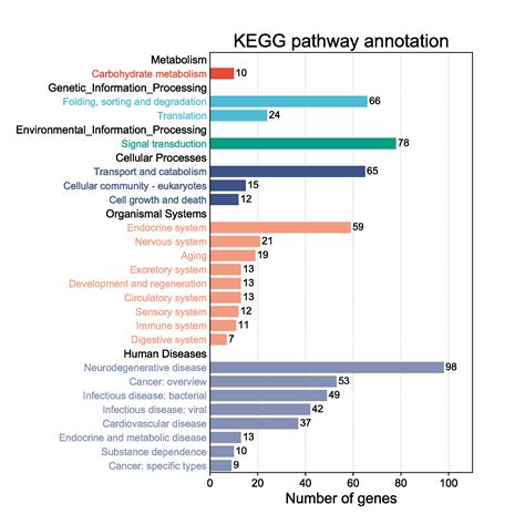 科学网—kegg Pathway通路二级分类汇总，轻松找到感兴趣的通路 陈明杰的博文