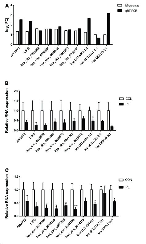 Validation Of Derna Expression By Qrt Pcr Differentially Expressed