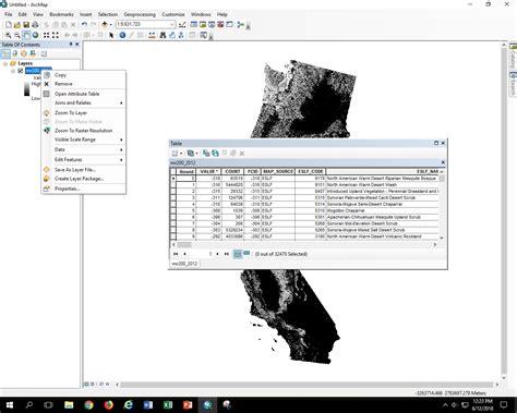 viewing attribute table for grid raster esri community