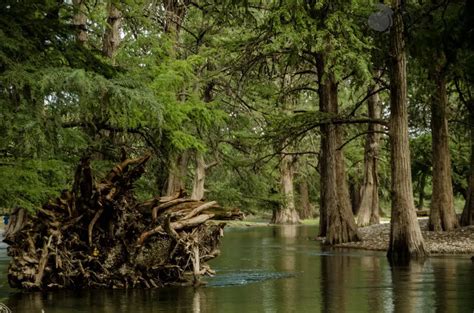 Que Visitar Em Sabinas O Que Fazer Em Sabinas Images And Photos Finder