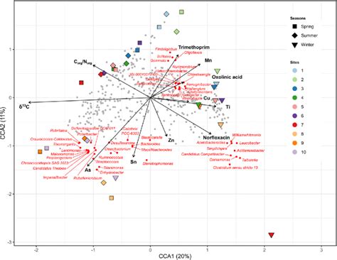 Correlations Between Microbial Community Structures Genus Level With