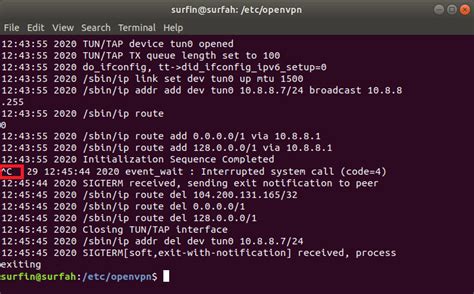 how to set up manual openvpn connection using linux