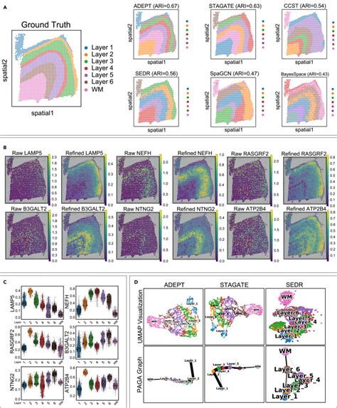 Adept Autoencoder With Differentially Expressed Genes And Imputation