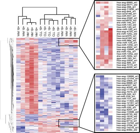 Rna Expression Profiling In Cd19 B Cells And Derived From Wm Cll And