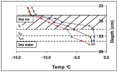 7 Sea Ice Temperature Gradients During Experiment 1 14 C Experiment
