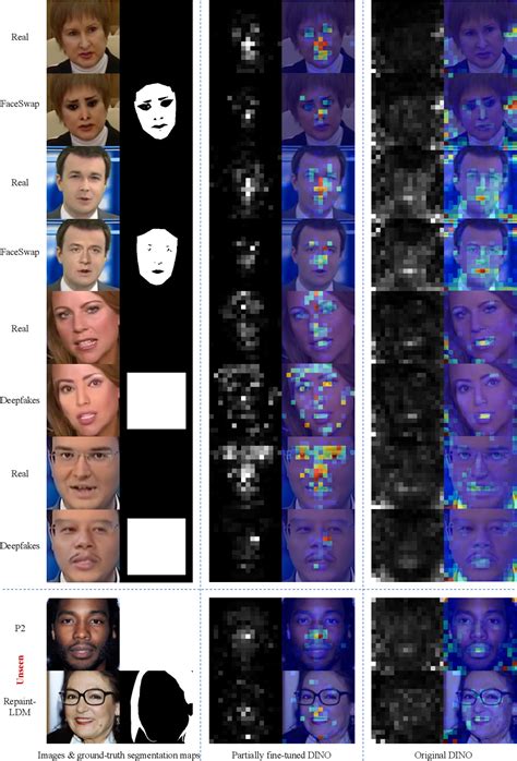 Figure 1 From Exploring Self Supervised Vision Transformers For