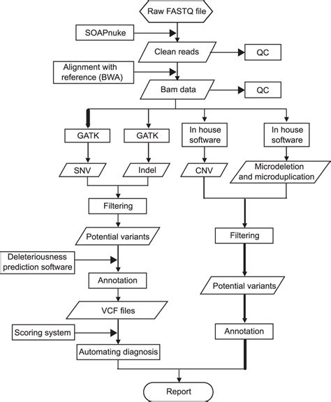 Flow Diagram Of Bioinformatics Analysis Download Scientific Diagram