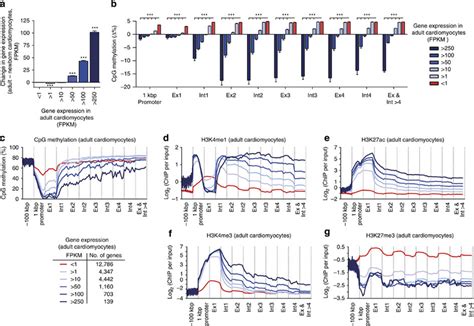 Correlation Of Gene Expression Cpg Methylation And Histone