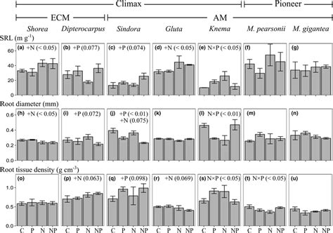 Specific Root Length Srl A–g Root Diameter H–n And Root Tissue