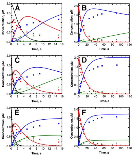 Results Of Kinetic Modeling To Explain Pre Steady State Results Graphs