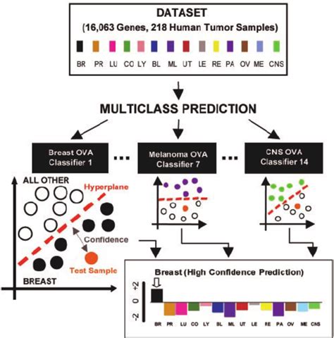 Multiclass Classi Fi Cation Scheme The Multiclass Cancer Classi Fi