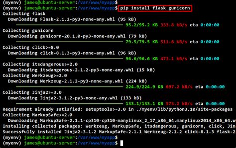 cara install flask dengan nginx dan gunicorn di ubuntu 22 04