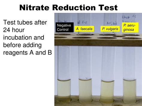 Nitrate Test Color Chart