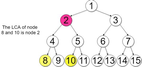 lowest common ancestor of a binary tree