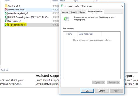 recover previous version of excel file after saving vasttrain