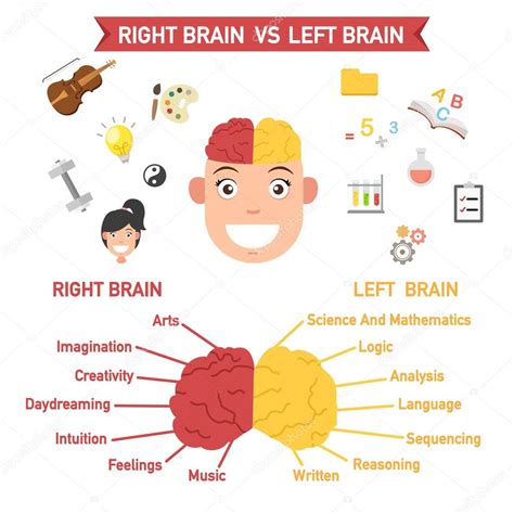 Left And Right Brain Functions Vector Stock Vector By ©jehsomwang 116223408