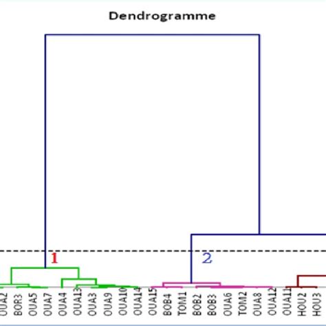 Dendrogram Of Dissimilarity Among 30 Accessions Of Cleome Gynandra L