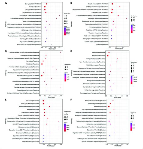 Pathway Enrichment Analysis Of Degs Via The Kegg Reactome And