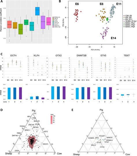 Transcriptome Analysis Of Embryonic Disc Stem Cells A Pearson