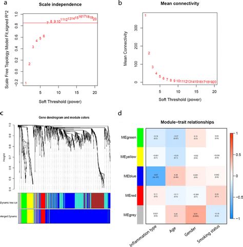 Construction Of Weighted Co Expression Network A B Analysis Of