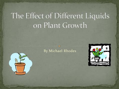 ppt the effect of different liquids on plant growth powerpoint